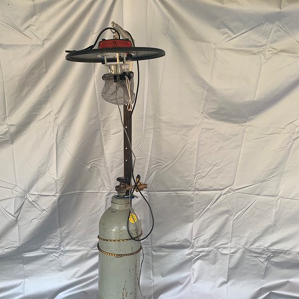 Efficacy - BITE SHIELD