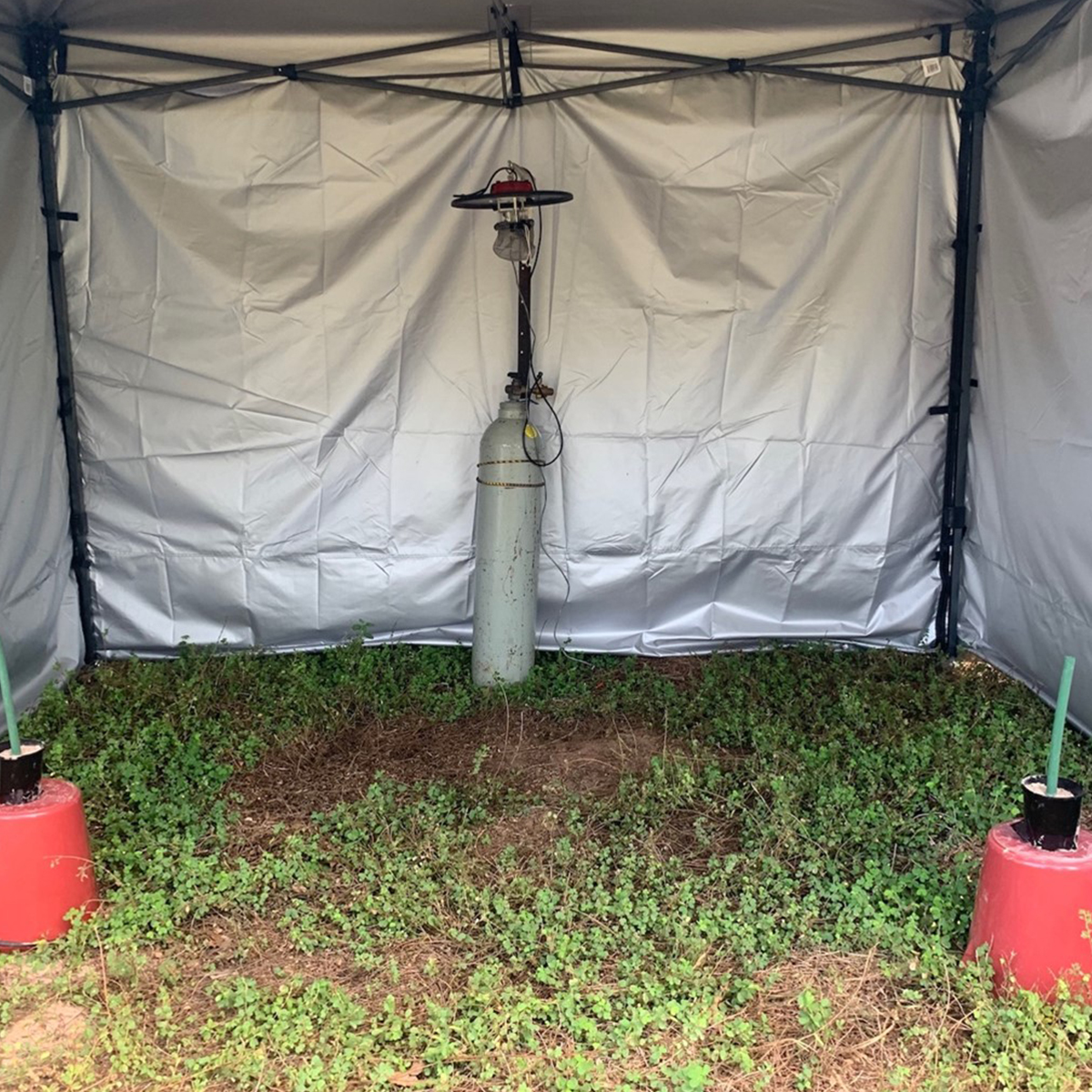 Efficacy - BITE SHIELD