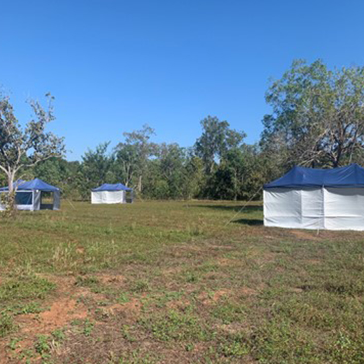 Efficacy - BITE SHIELD