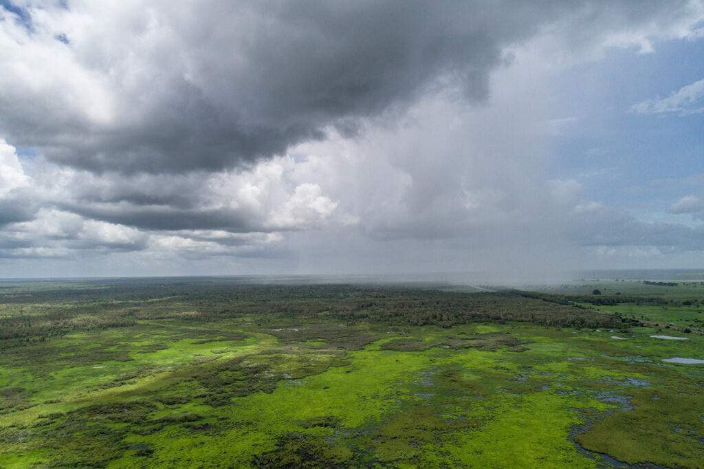 Efficacy - BITE SHIELD